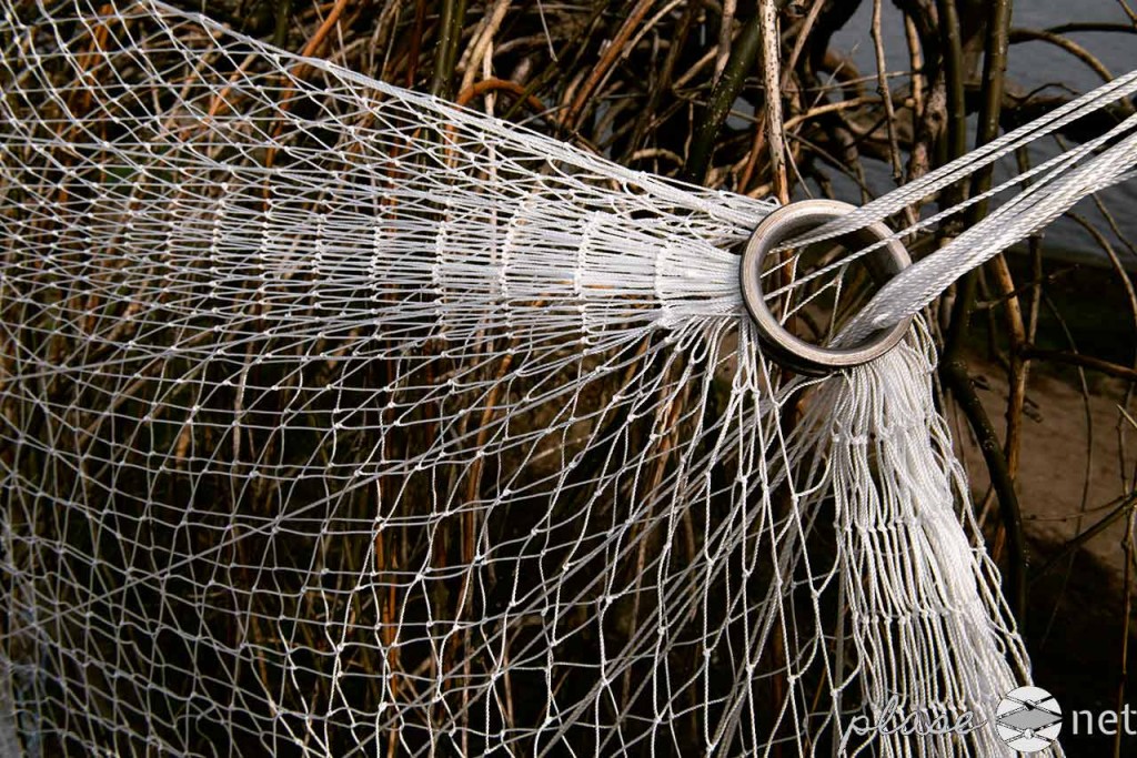 Prostovol - Plase.Net