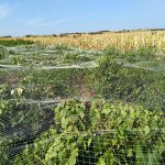 Plase.Net - Producem plase textile pentru sport, pescuit, construcții